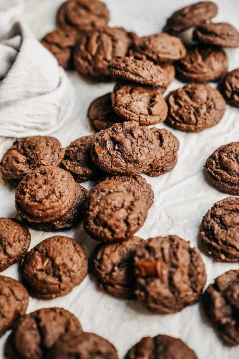 Double Chocolate Protein Cookies