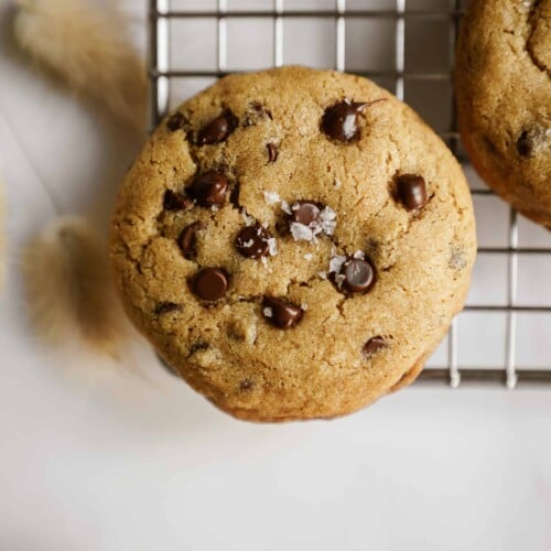 Homemade Chocolate Chip Cookies