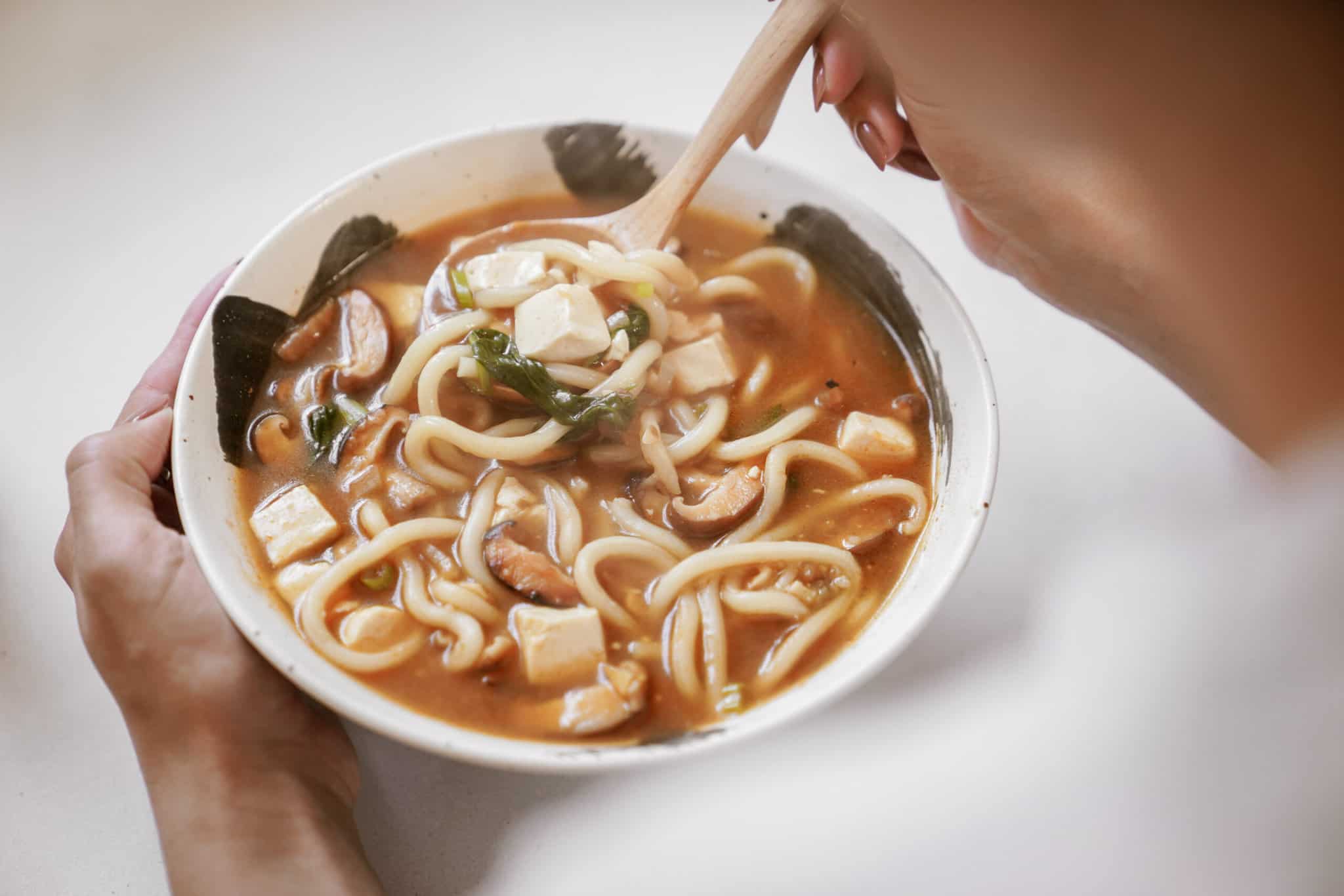 Udon Noodle Soup