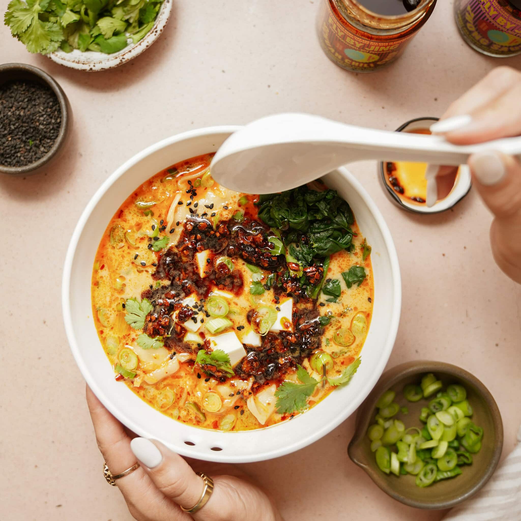 Pot Sticker Soup Recipe