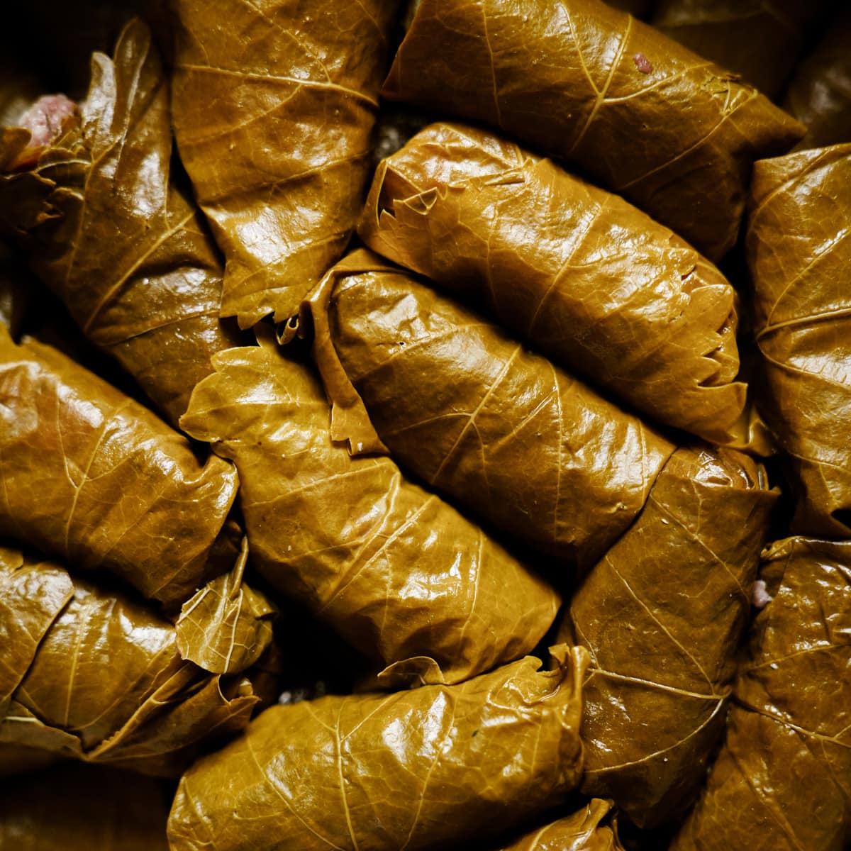 Greek Dolmades