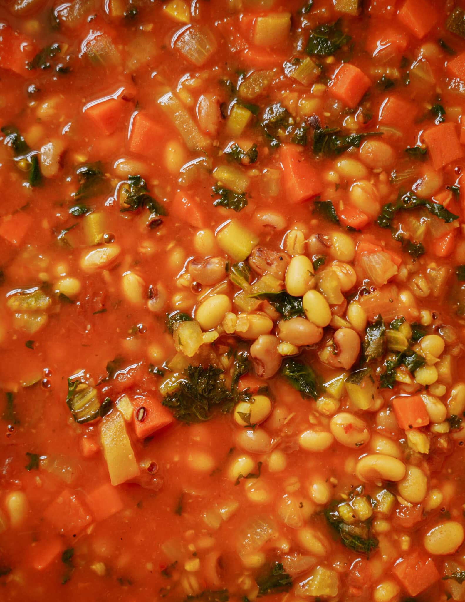 Blue Zone Minestrone Soup